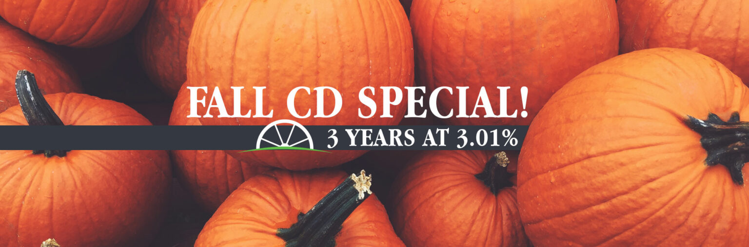 Fall CD Special